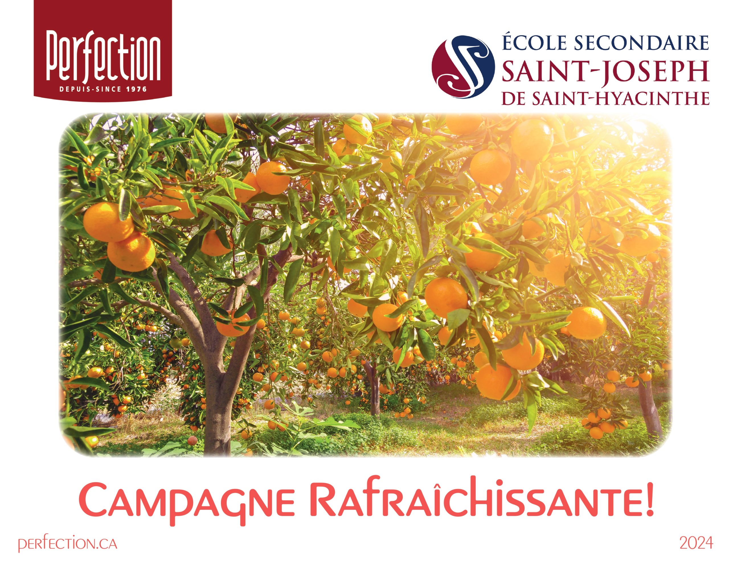 LA CAMPAGNE DE FINANCEMENT EST EN COURS JUSQU'AU 27 OCTOBRE 2024 ...